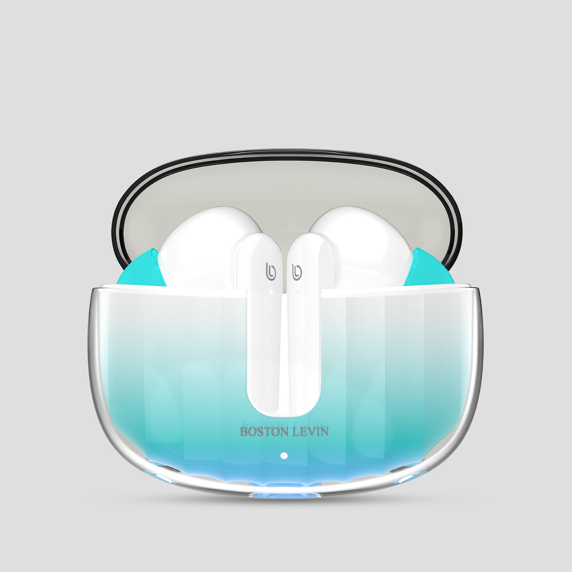 Warranty Registration - Boston Levin